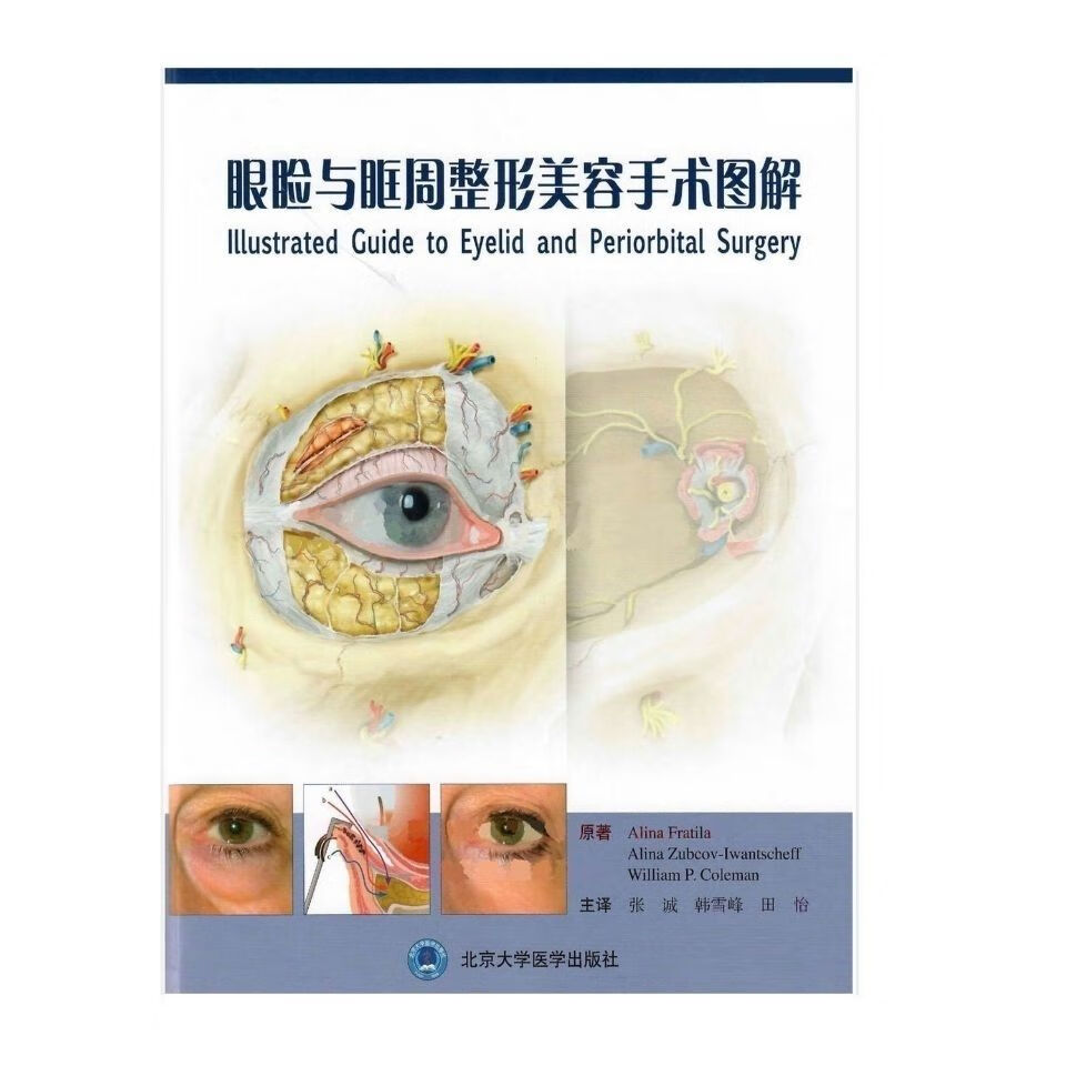 眼睑与眶周图解