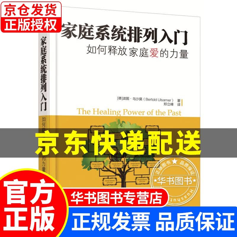 家庭系统排列入门：如何释放家庭爱的力量