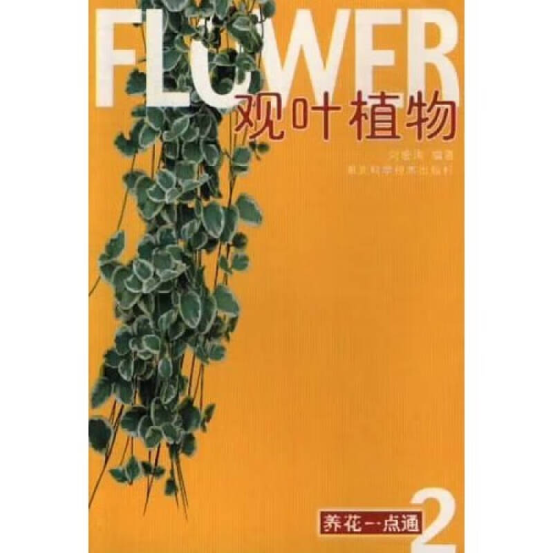 观叶植物【特惠】