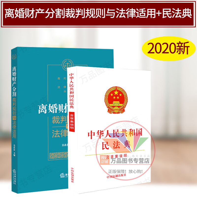 2020 离婚财产分割裁判规则与法律适用+中华人民共和国民法典（含草案说明）32开单行本法条