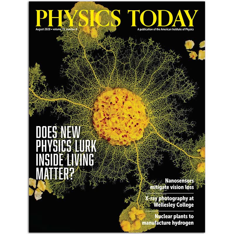 【单期可选】Physics Today 今日物理学杂志 2020/21/22年月刊 2020年8月刊