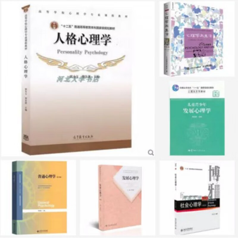 华中师范大学应用心理专硕347 儿童青少年发展心理学 周宗奎 6本