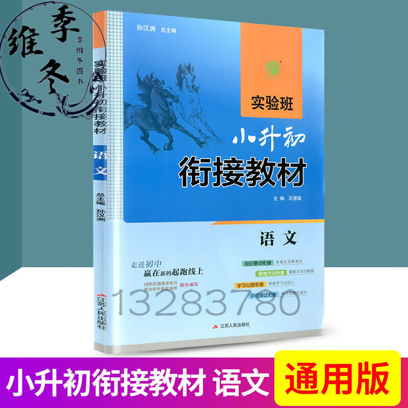 实验班 小升初衔接教材语文数学英语小升初复习资料小升初必刷题 语文