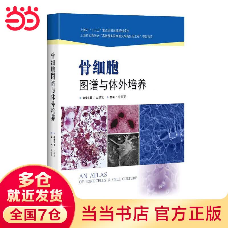 骨细胞图谱与体外培养