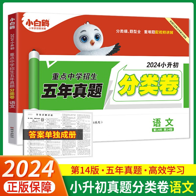 2024版小白鸥星空小升初真题分类卷语文小学专项训练分半考试卷小考毕业总复习试卷