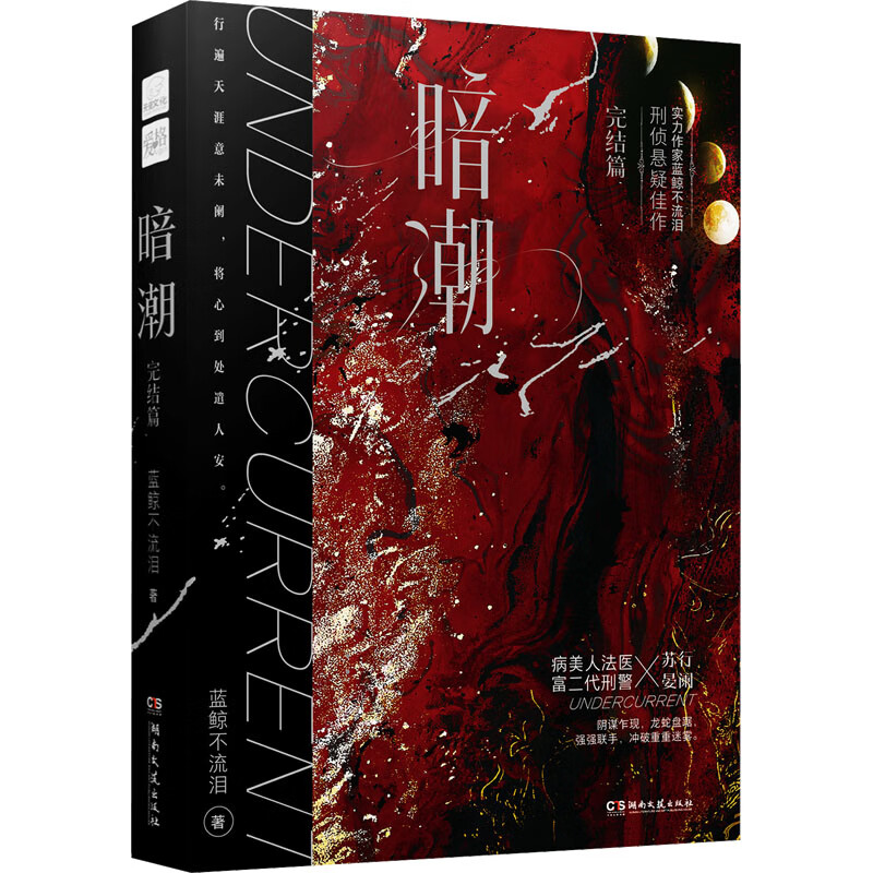 暗潮 完结篇 图书
