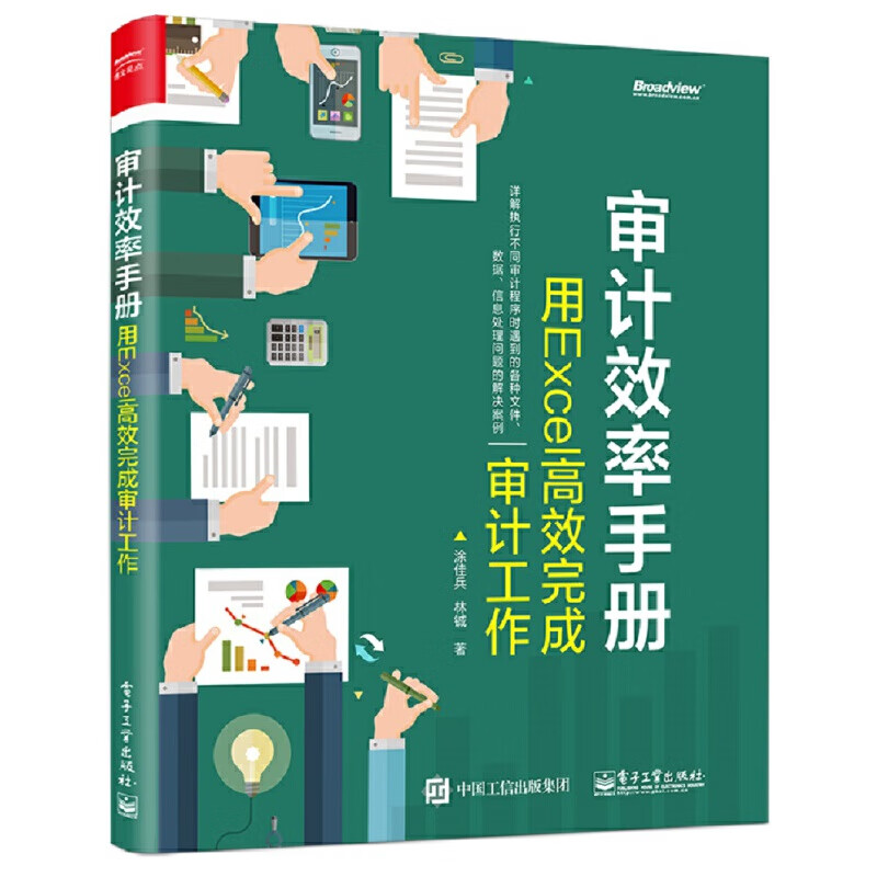 审计效率手册：用Excel高效完成审计工作