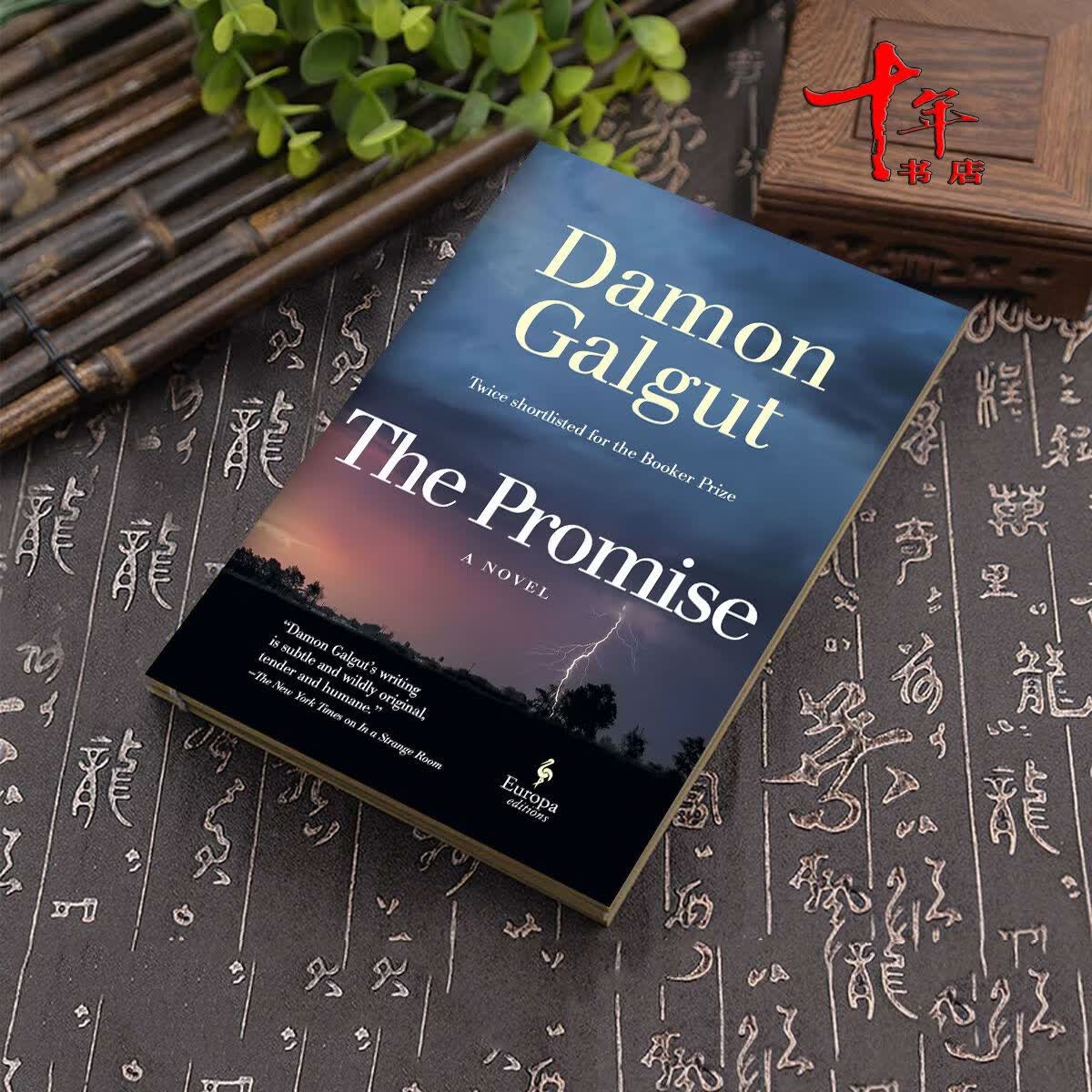 The Promise by Damon Galgut 纸质版