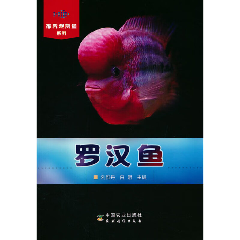 罗汉鱼(家养观赏鱼系列）