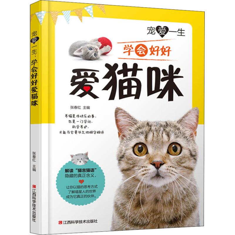 宠爱一生 学会好好爱猫咪