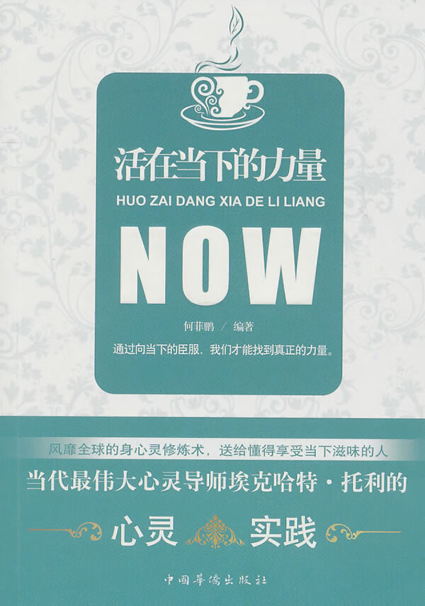 活在当下的力量 何菲鹏【书】