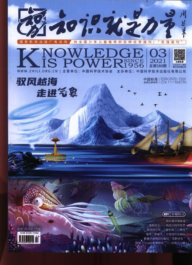 知识就是力量(21年-第3期) 学技术出版社0529150X 文学书籍