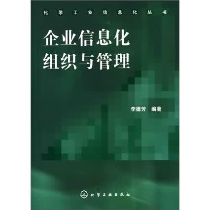 企业信息化组织与管理