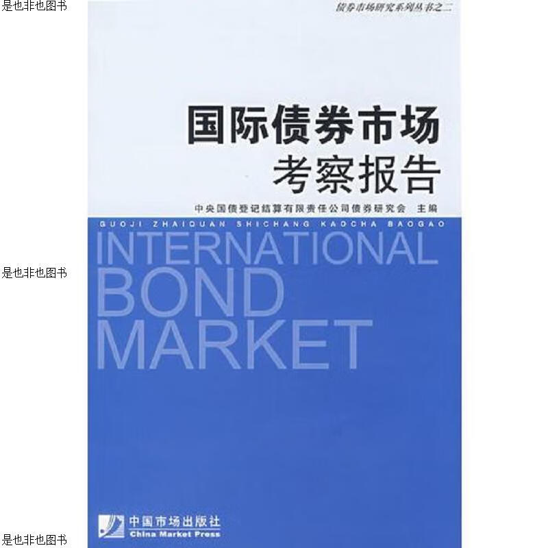 国际债券市场考察报告