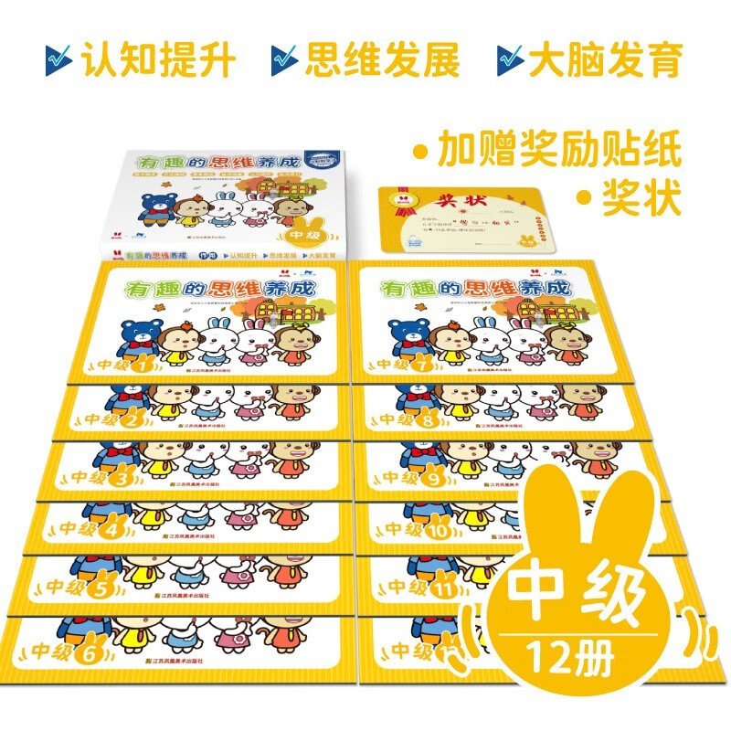 有趣的思维养成中级篇全12册 幼小衔接逻辑思维训练书