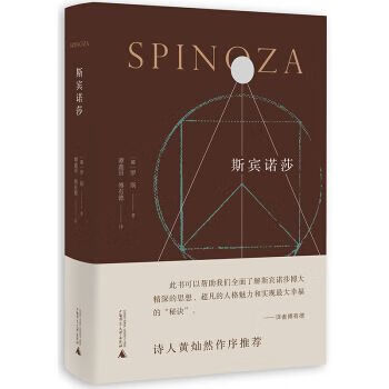 斯宾诺莎9787559800053