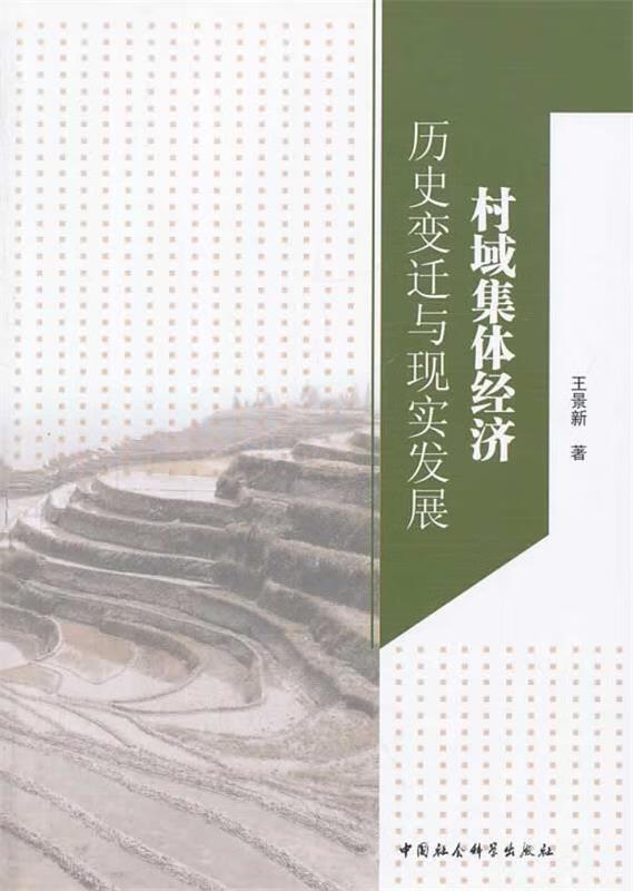 村域集体经济:历史变迁与现实发展 王景新著 中国社会科学出版社
