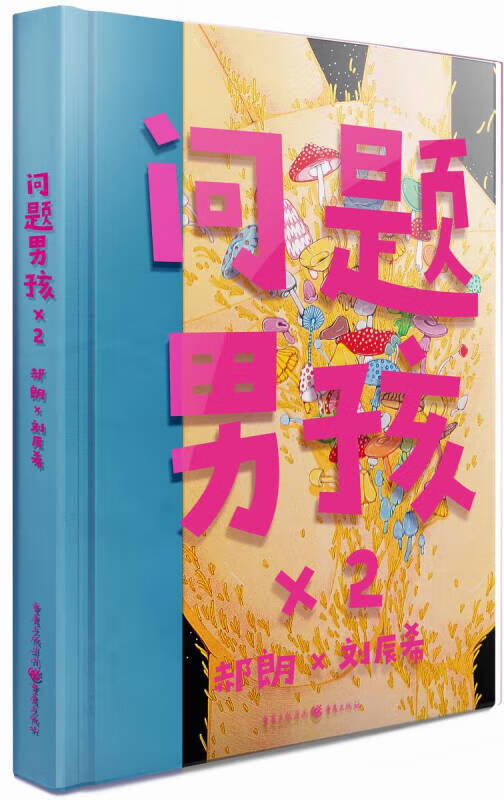问题男孩×2【精选】