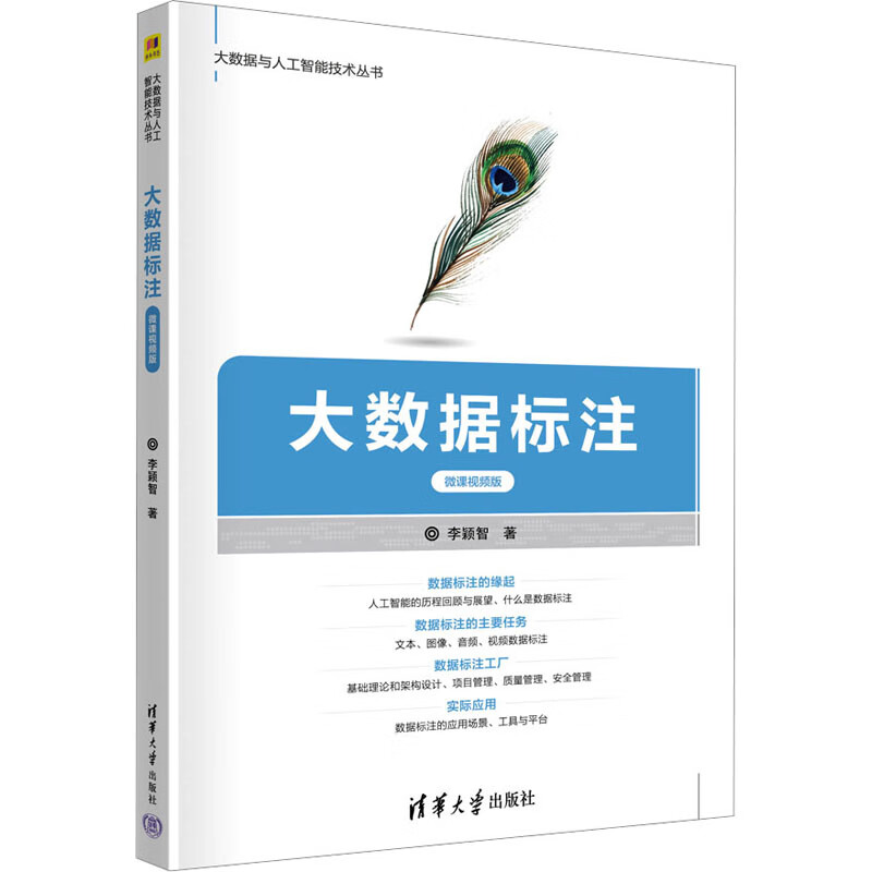 大数据标注 微课视频版 图书