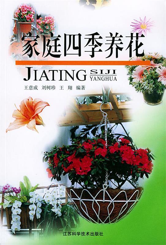家庭四季养花