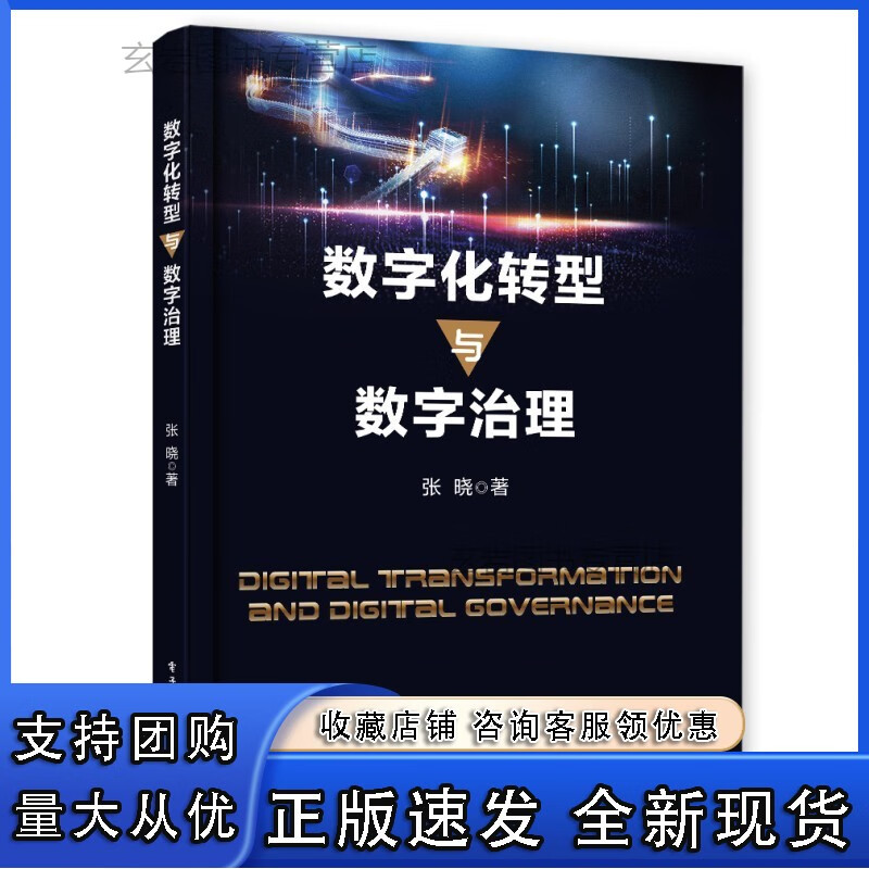 n数字化转型与数字治理 张晓 著
