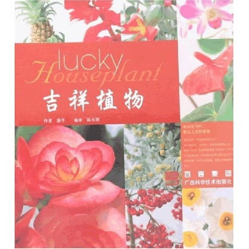 吉祥植物【特惠】