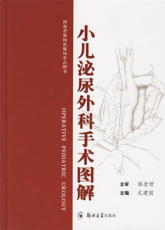 小儿泌尿外科手术图解 文建国 主编【书】