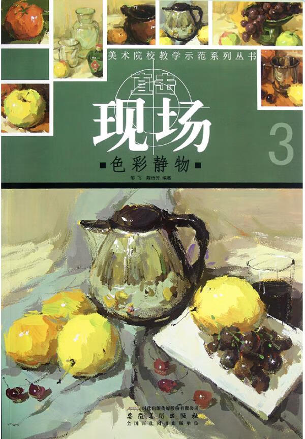 直击现场 邹飞、陈诗芳色彩静物3 邹飞,陈诗芳编著 9787539836478