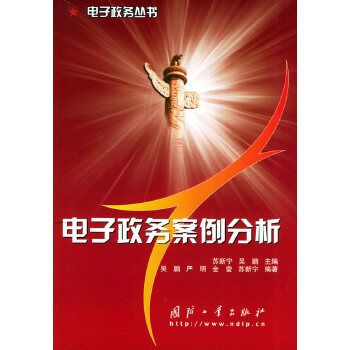 电子政务案例分析