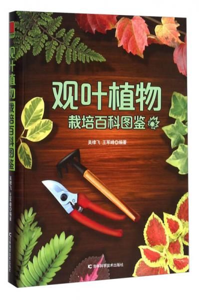 观叶植物栽培百科图鉴9787538496376