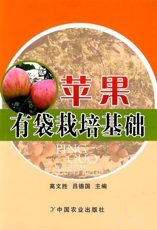 苹果有袋栽培基础