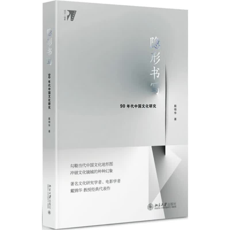 隐形书写:90年代中国文化研究 戴锦华  书籍