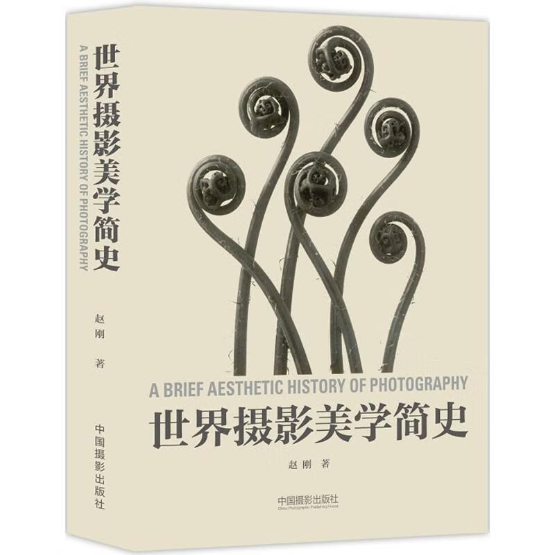 世界摄影美学简史 世界摄影美学简史