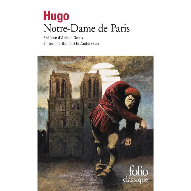 Notre-Dame de Paris 图书