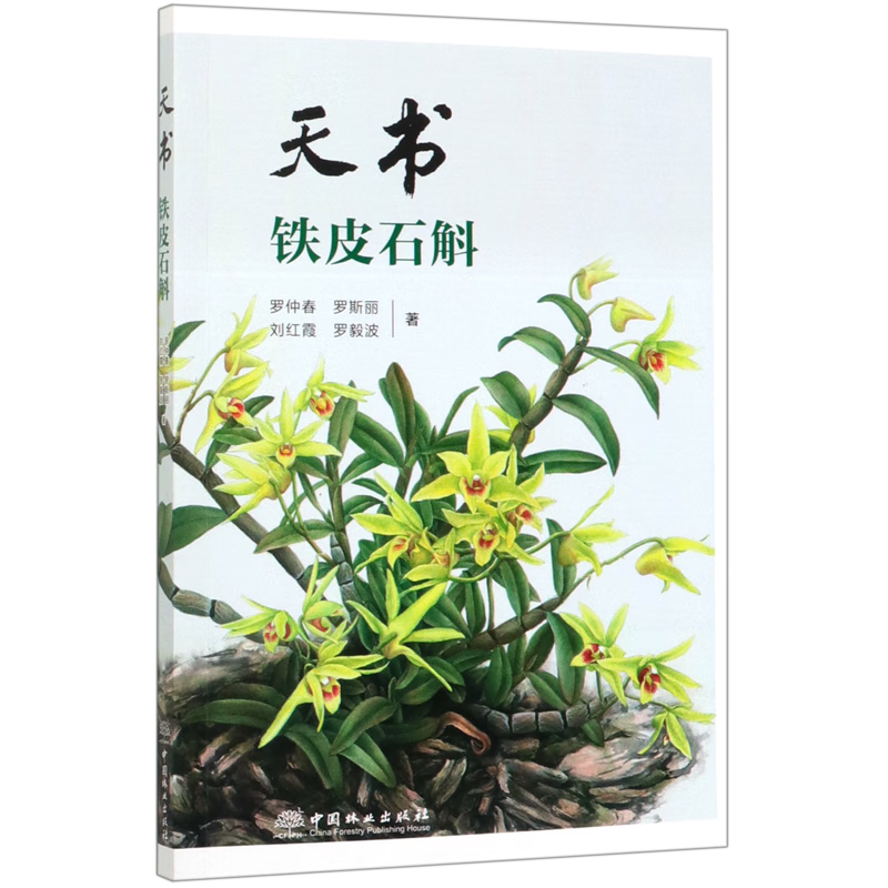 天书铁皮石斛