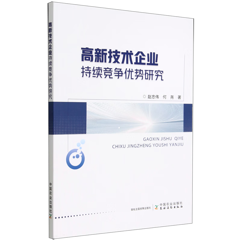 高新技术企业持续竞争优势研究