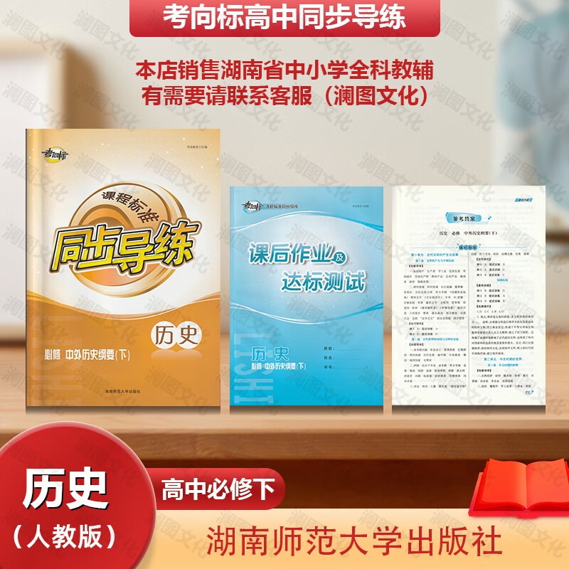 司华2022新考向标课程同步导练高中历史必修下册人教版配课时作业