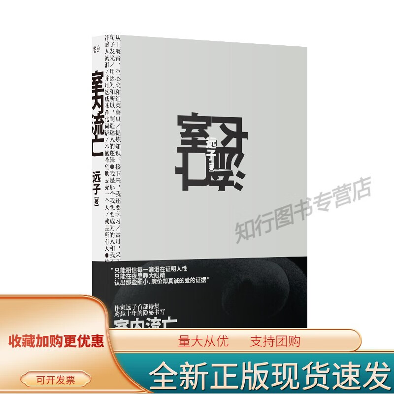 室内流亡 远子 著联合天畅北京联合出版