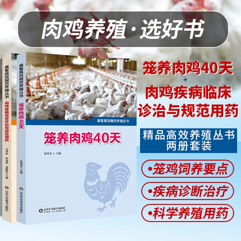 套装2册 笼养肉鸡40天+肉鸡疾病临床诊治与规范用药 养鸡技术书养殖书籍大全肉鸡养殖书籍 鸡病鉴别诊断技术书