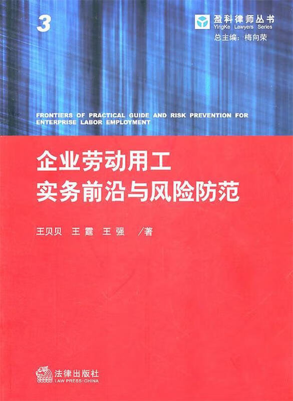 企业劳动用工实务前沿与风险防范 王贝贝,王霆,王强【书】