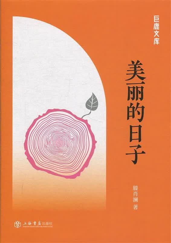 美丽的日子 滕肖澜 9787545817201