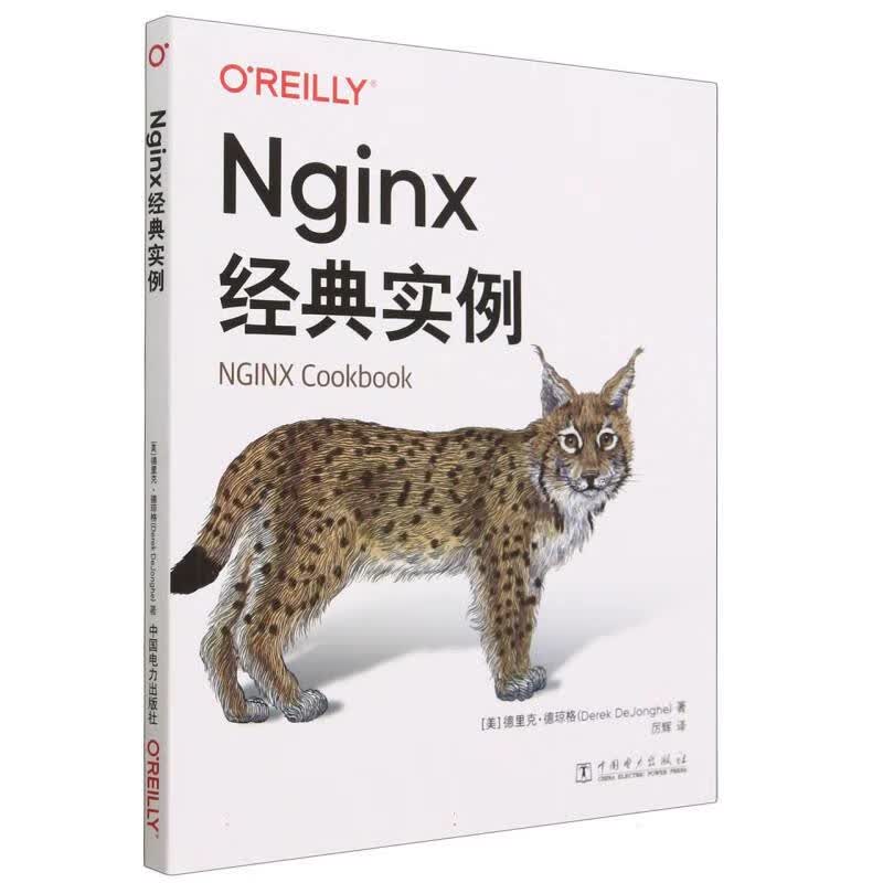 Nginx经典实例 (美)德里克·德琼格