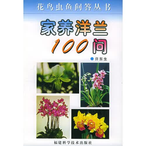家养洋兰100问 花鸟虫鱼问答丛书【现货】