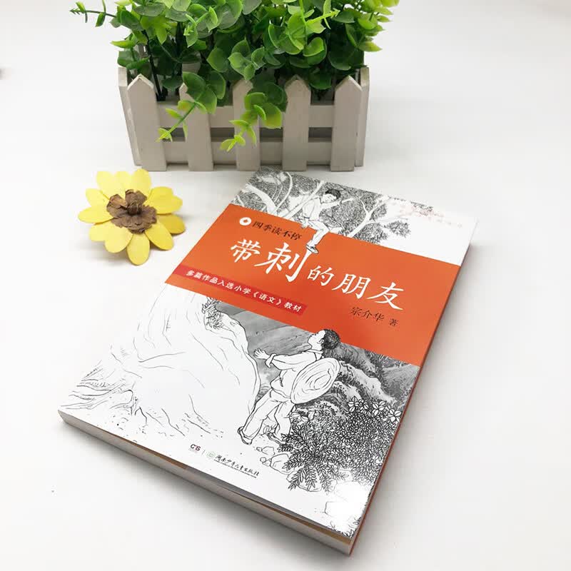 带刺的朋友/四季读不停 宗介华著 中国儿童文学 成长/校园小说 6-12岁儿童文学童话故事课外书 少儿成长