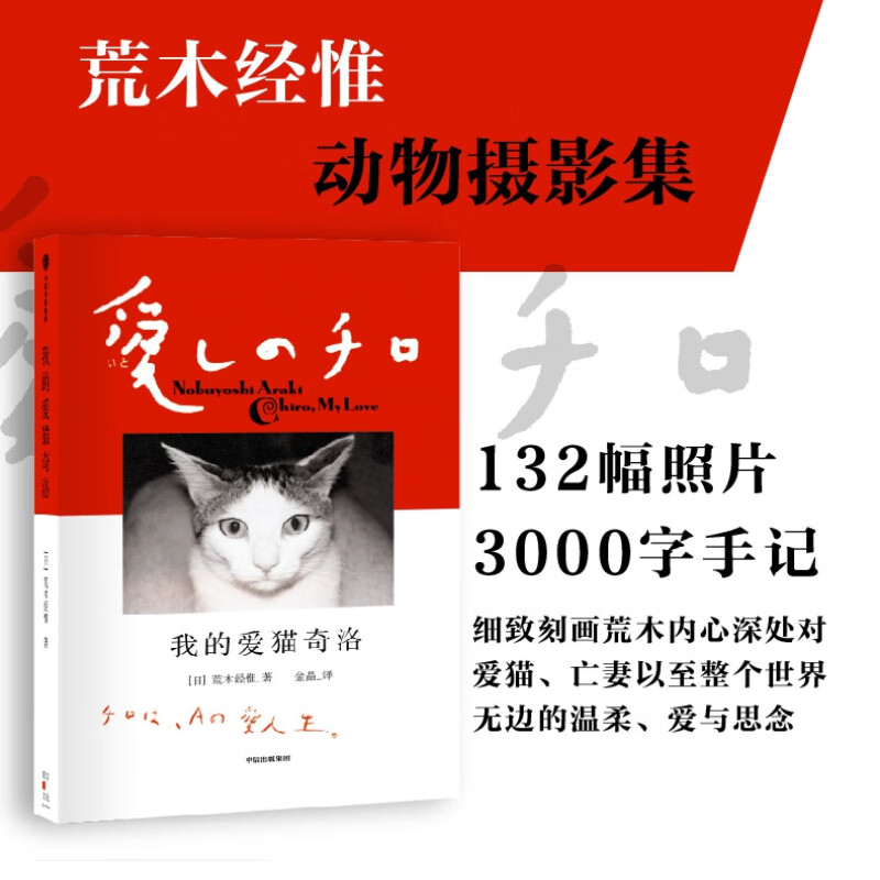 我的爱猫奇洛