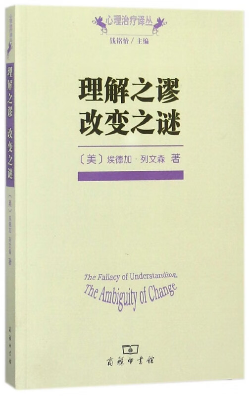 理解之谬改变之谜/心理治疗译丛