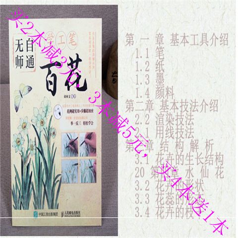 无师自通学画国工笔画禽鸟鱼百花荷花牡丹工笔画训练 无师自通学 工笔百花