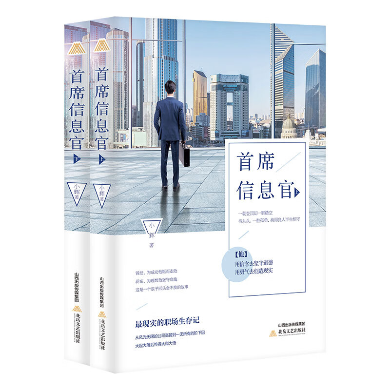 首席信息官（上下册）