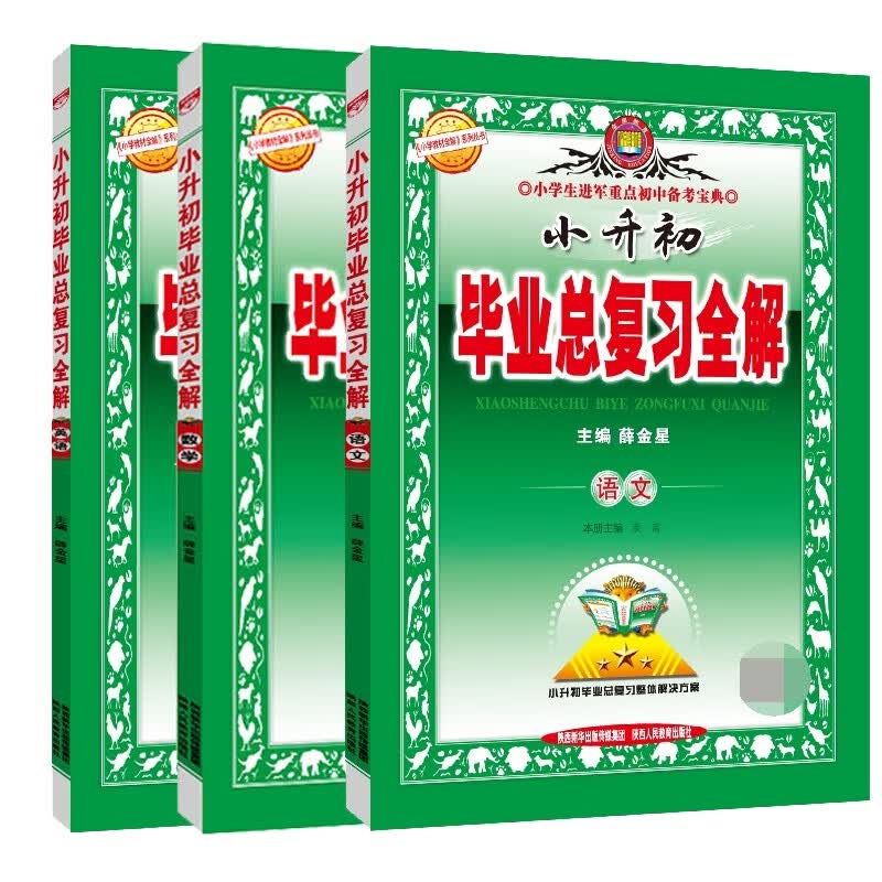 22N小升初毕业总复习全解 语文+数学+英语 共3册