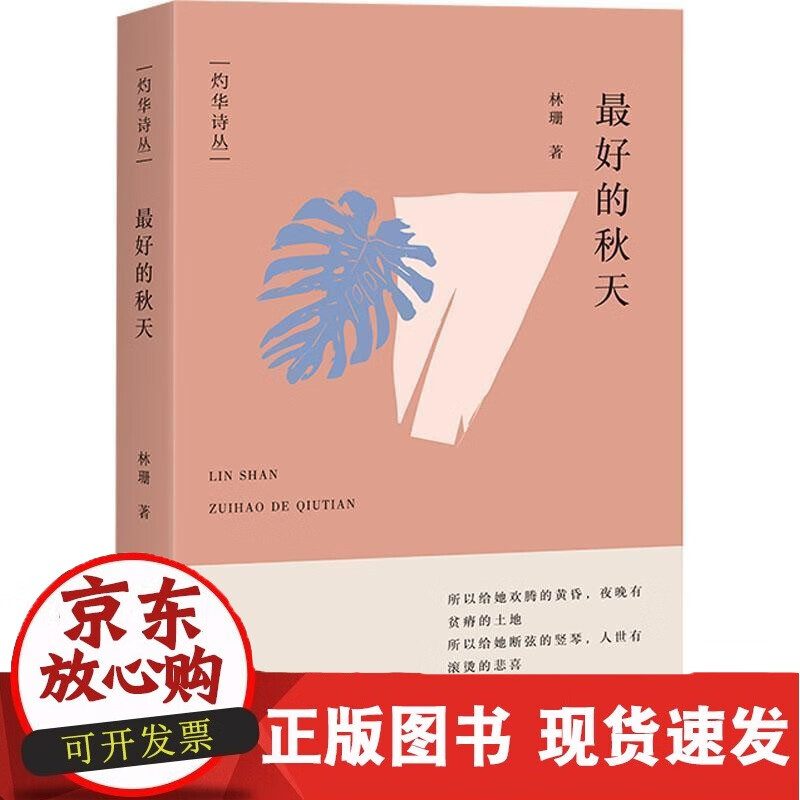好的秋天林珊 文学书籍